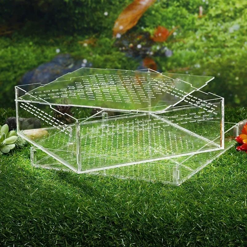 Reptile Acrylic Breeding Box Spider Lizard Transparent Feeding Boxes ...