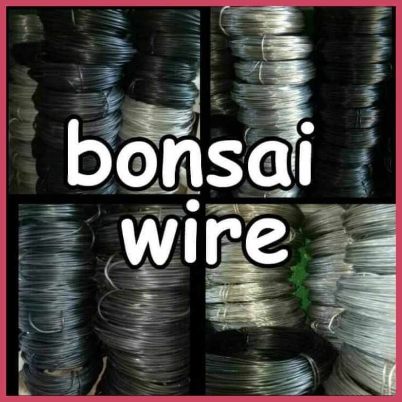 1/2kl&pt)Bonsai/p$wire]E#(plain]W#alum,]G#black]Z#coated,]d#copper]m# ...