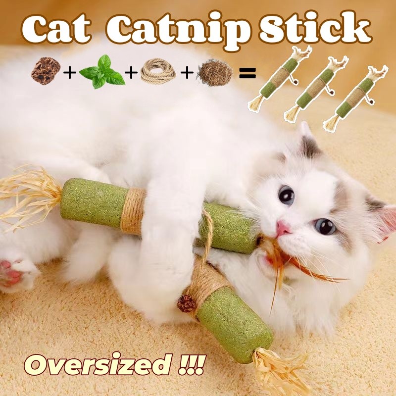 Cat Oversized Catnip Stick Molar Stick Natural Silvervine Cat Tooth ...