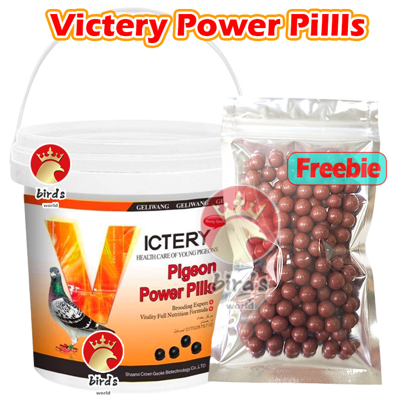 Victery Geliwang Pigeon Power Pills 50/100/250 Pills for racing pigeon ...