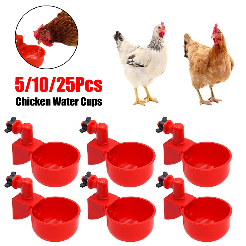 5Pcs Automatic Poultry Chicken Chicken Drinker Chicken Feede for ...