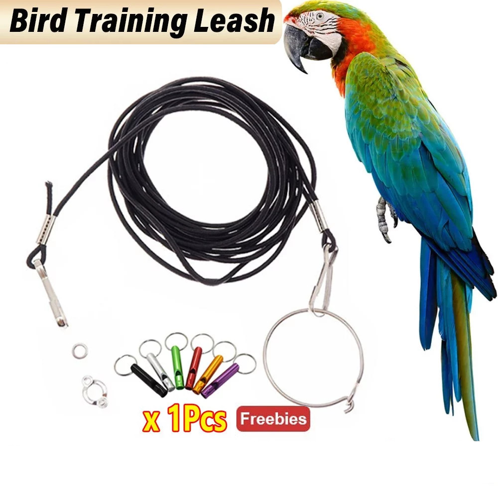 5ft Flexible bird flight leash with training ring bird leash with ...