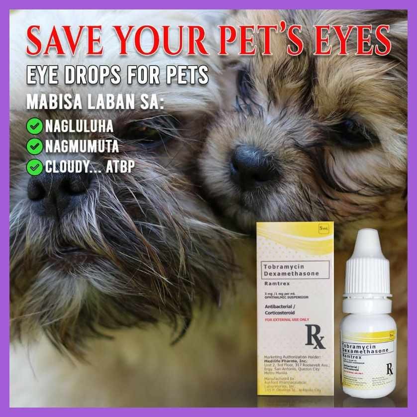 RAMTREX?EK/Tobramycin)N&w`+;VH`Dexamethasone;kn`Eye;Of`Drops;VI`for;iM ...