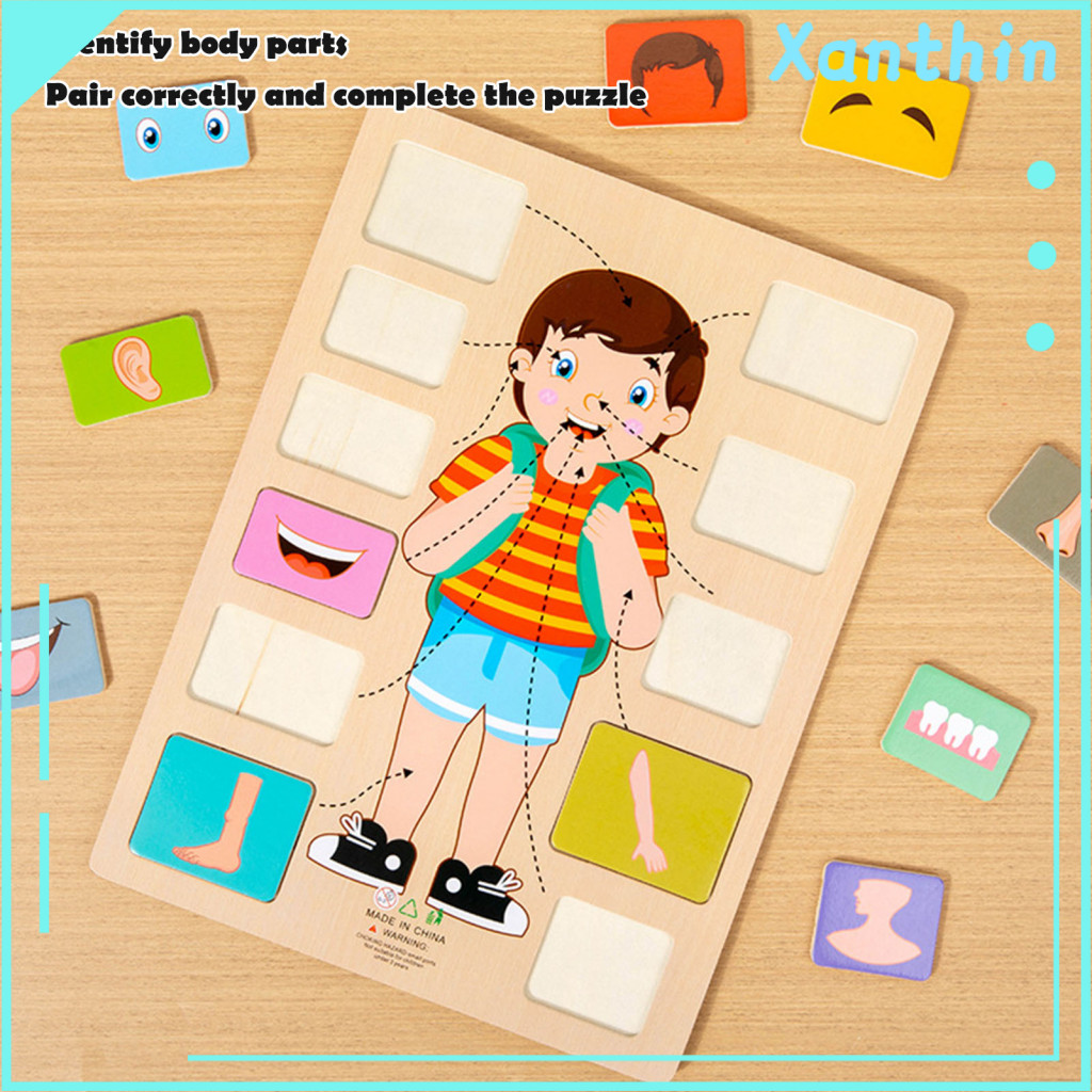 Anatomy Learning Puzzle Wooden Body Puzzle Wooden Body Puzzle Game for ...