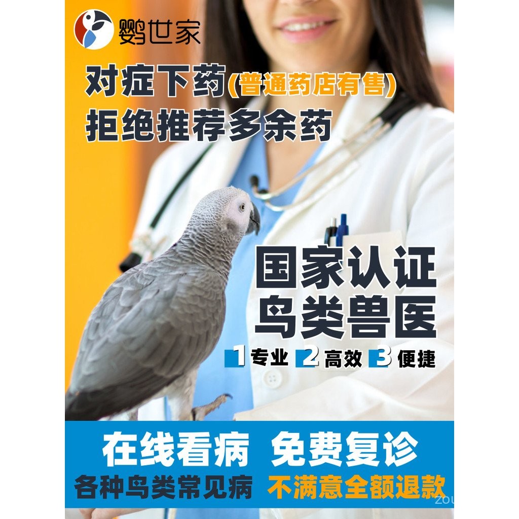 Parrot Doctor Online Consultation for Cockatiels, Lovebirds, Cockatiels ...