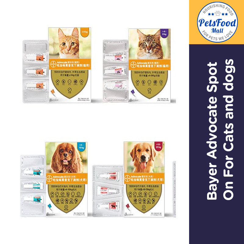 Bayer Advocate Spot On For Cats and dogs Prevent Flea & Larva Deworm ...