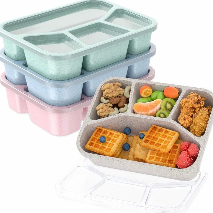 Aesthetic Lunch Box 4-Separated Lunch Box for Children Misting Adults ...