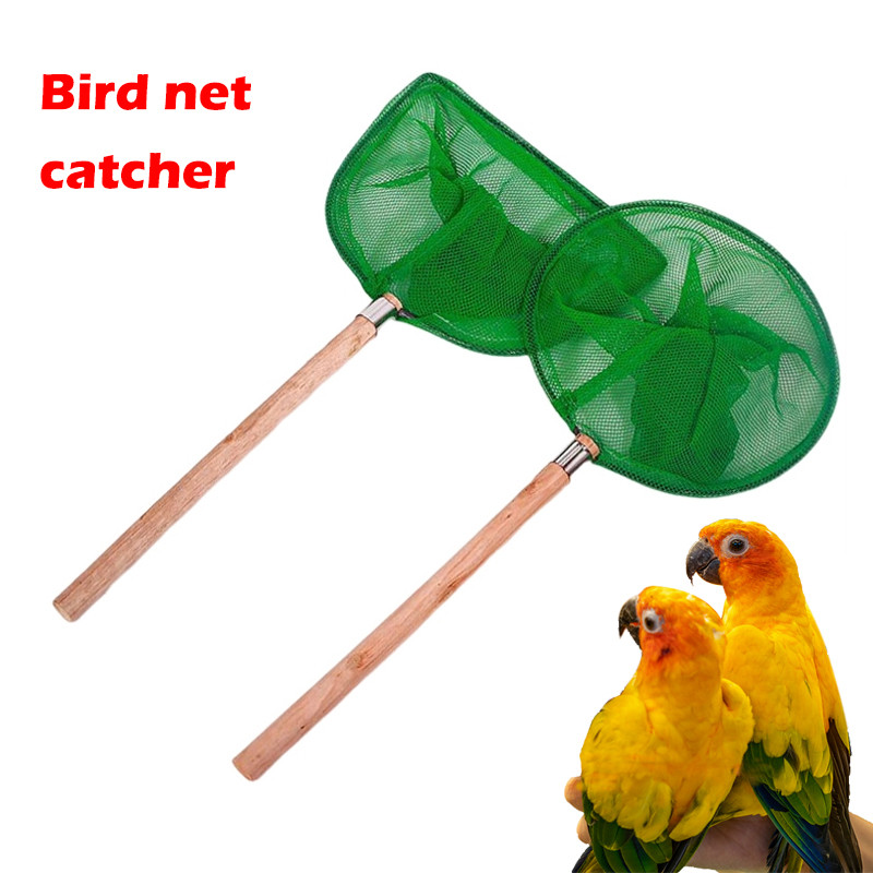 1 Set Bird Catcher with Wooden Handle Flexible Bird Catching Net for ...