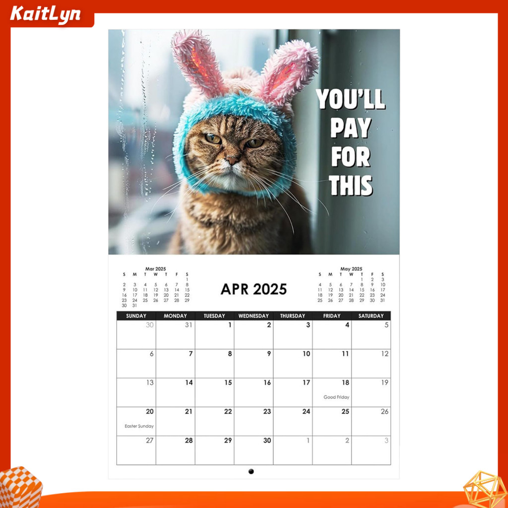 Angry Cat Calendar 2025 Hilarious Cat Wall Calendar 2025 Funny Cat ...