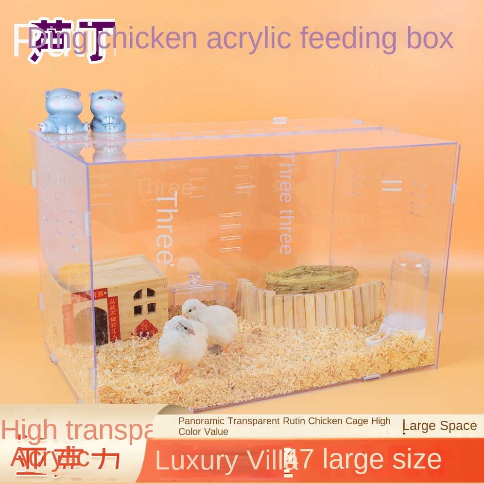 Spot goods Rutin chicken breeding box Lizard breeding box Glass feeding ...