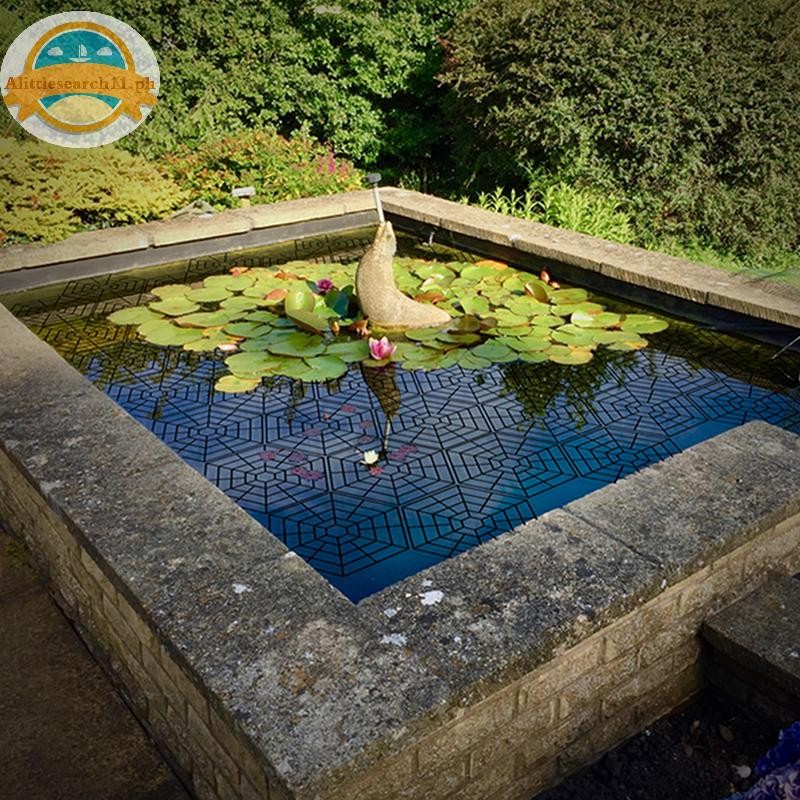 ASEARCH 10/20Pcs Pond Fish Guard Floating Net Protectors Mesh Plastic ...