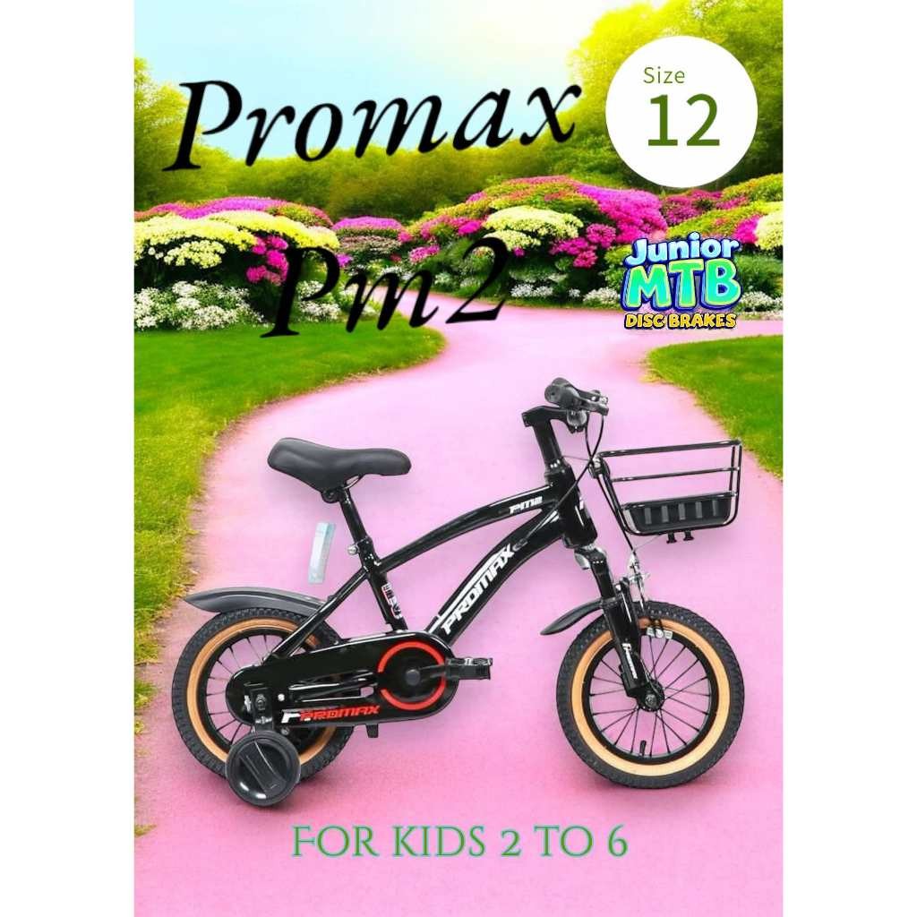 PROMAX PM2 AND PM4 MOUNTAINBIKE FOR CHILDREN WITH DISC BRAKES AND ...