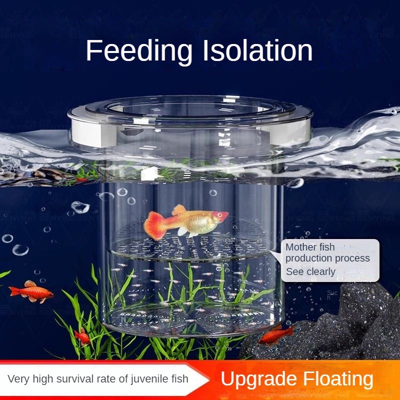 Fish Suspension Floating Incubator Isolation Box Breeding Tank Mother ...