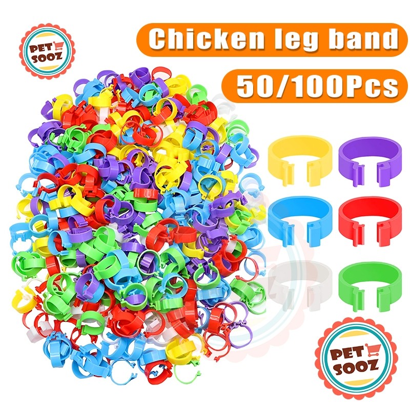 10/50Pcs Adjustable Chicken leg band Plastic Poultry foot rings leg ...