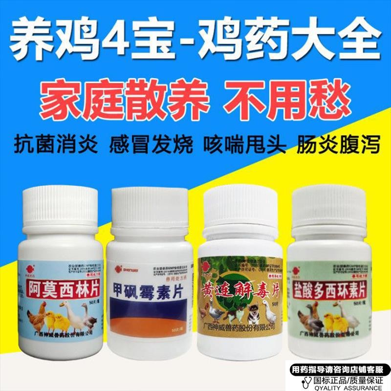 Veterinal Chicken Medicine Encyclopedia Amosilin Tablets Rescue Birds ...