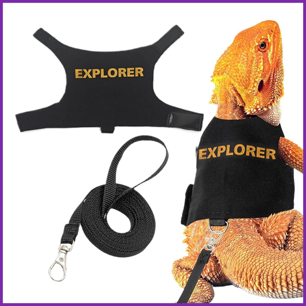 Bearded Dragon Clothes Bearded Dragon Costume Adjustable Comfortable ...