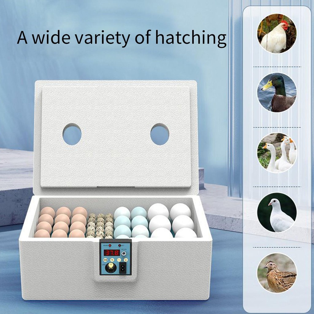 Egg Hatching Incubator 10-25 Quail Egg Incubator Intelligent Poultry ...