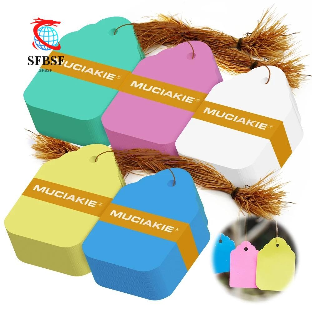 SFBSF 100pcs Hanging Plant Tag, Marker Signs PVC Garden Label, Colorful ...