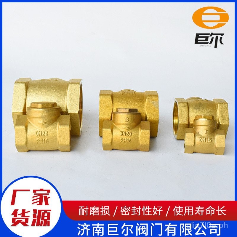 Brass Thickened Horizontal Check Valve Check Valve Check Valve Threaded ...