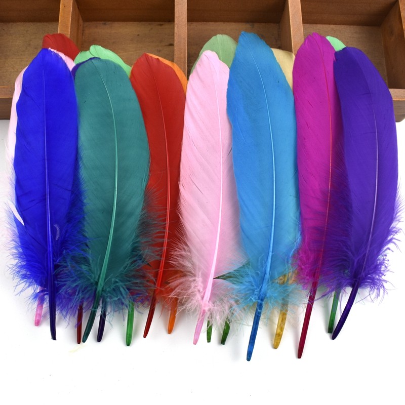Hard Pole Colored Natural Goose Feathers for Crafts Plumes 6-8" 15-20cm ...