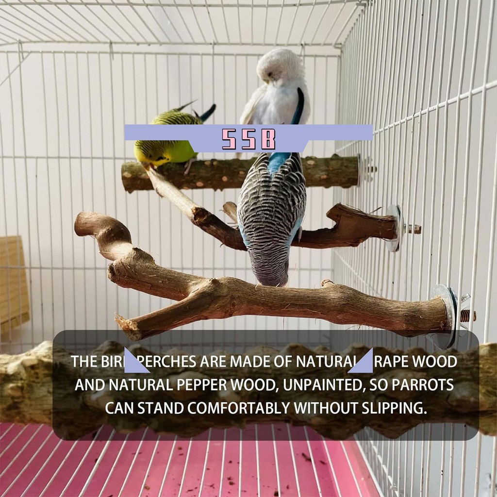 5PCS Wooden Parrot Stand Branch Made of Natural Trees Safe Branch for ...