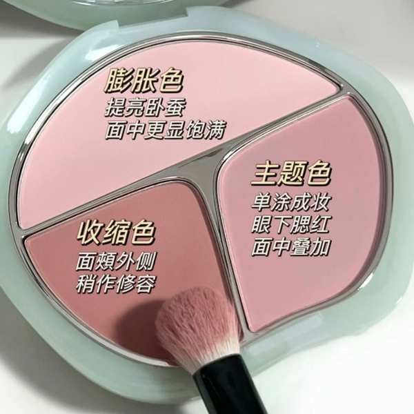 blush on with brush careline blush on Tricolor Blush Palette 2024 New ...