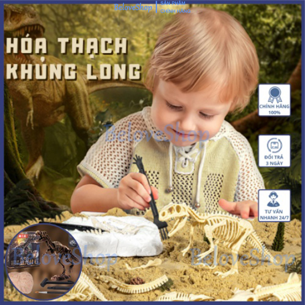 Dinosaur Fossil Digging Toys, Dinosaur Bone Digging Archeology Set ...