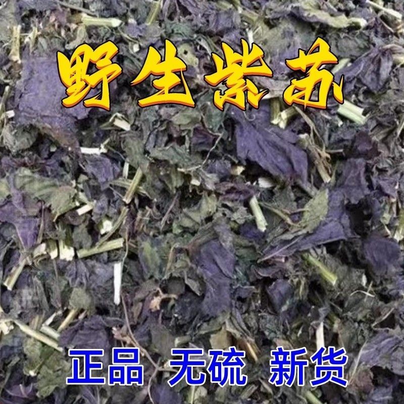 Fresh Perilla Leaf Traditional Chinese Herbal Materials Soaking Feet ...