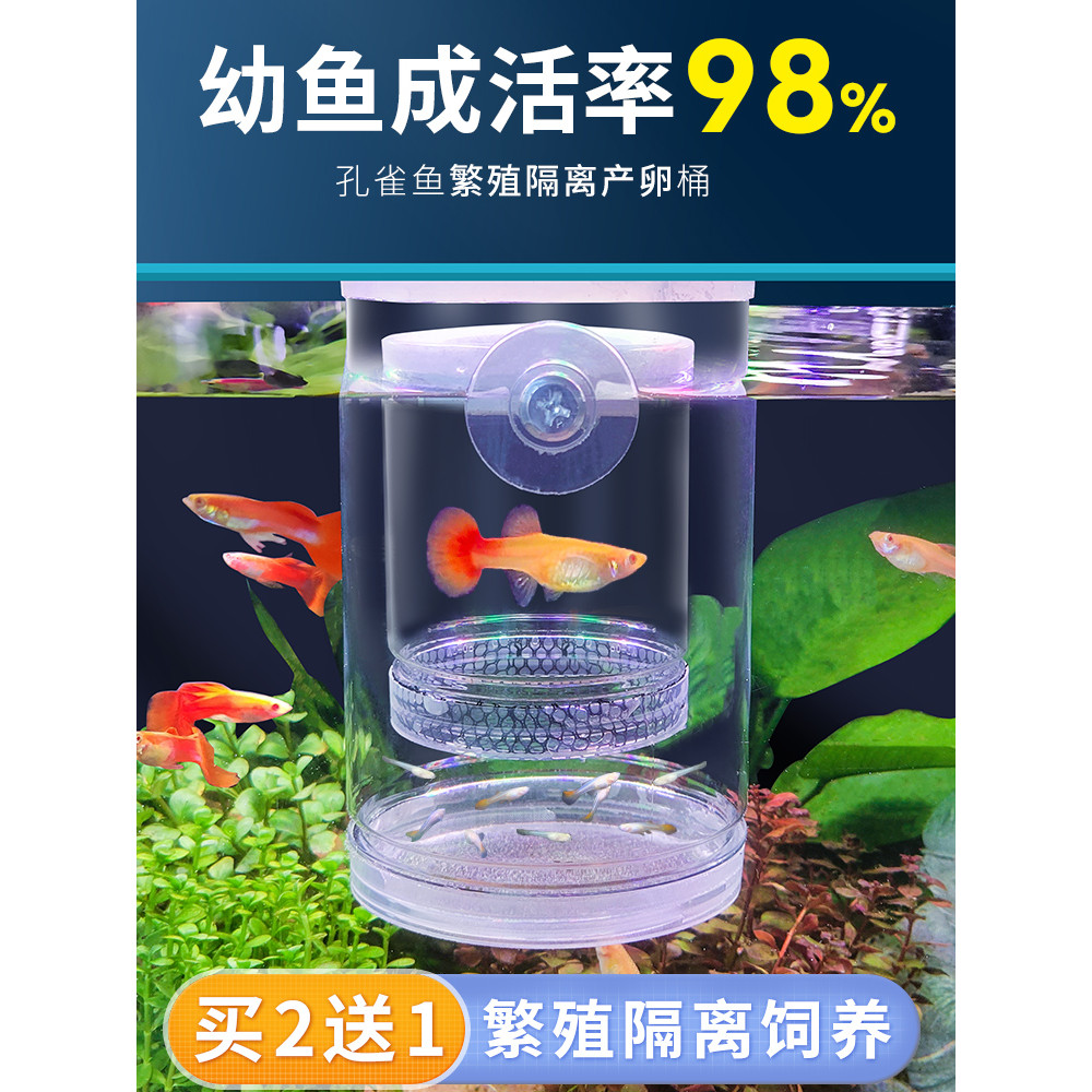Guppy Breeding Isolation Box Egg Laying Bucket Female Fish Hatching Net ...