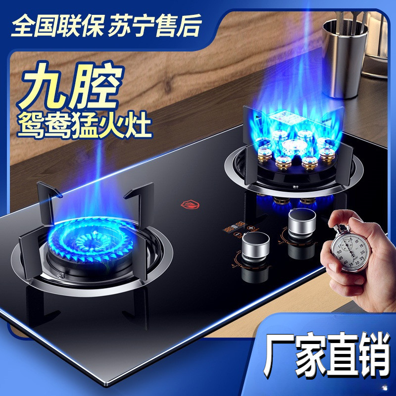 Hotata High-Profile Figure Gas Stove Double Burner Household Liquefied ...