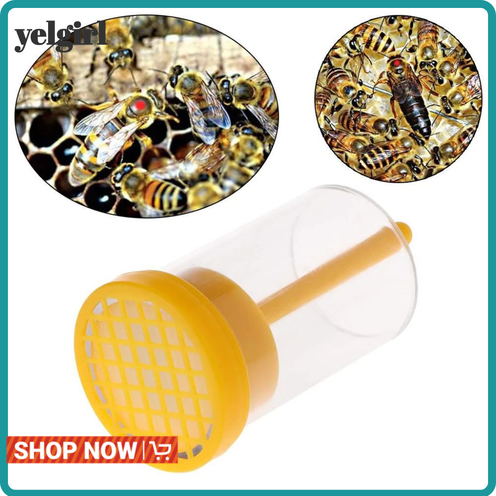 AGLYELGIRL Queen Bee Labeled Bottle, Transparent Bee Marker Plunger ...
