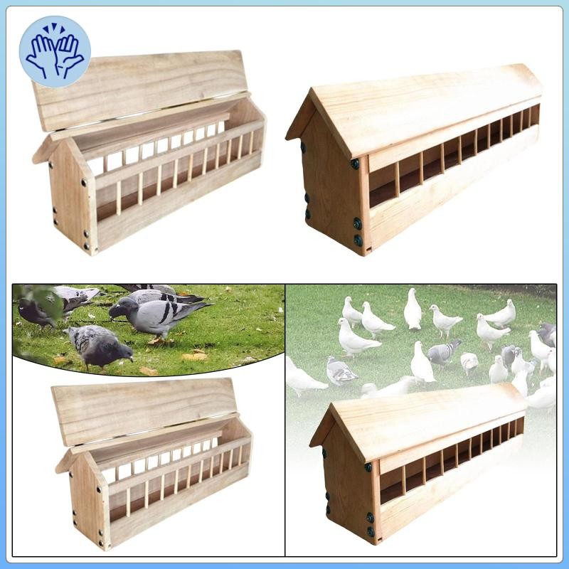 [Wishshopezxh] Pigeon Feeder Trough Container Poultry Trough Dish for ...