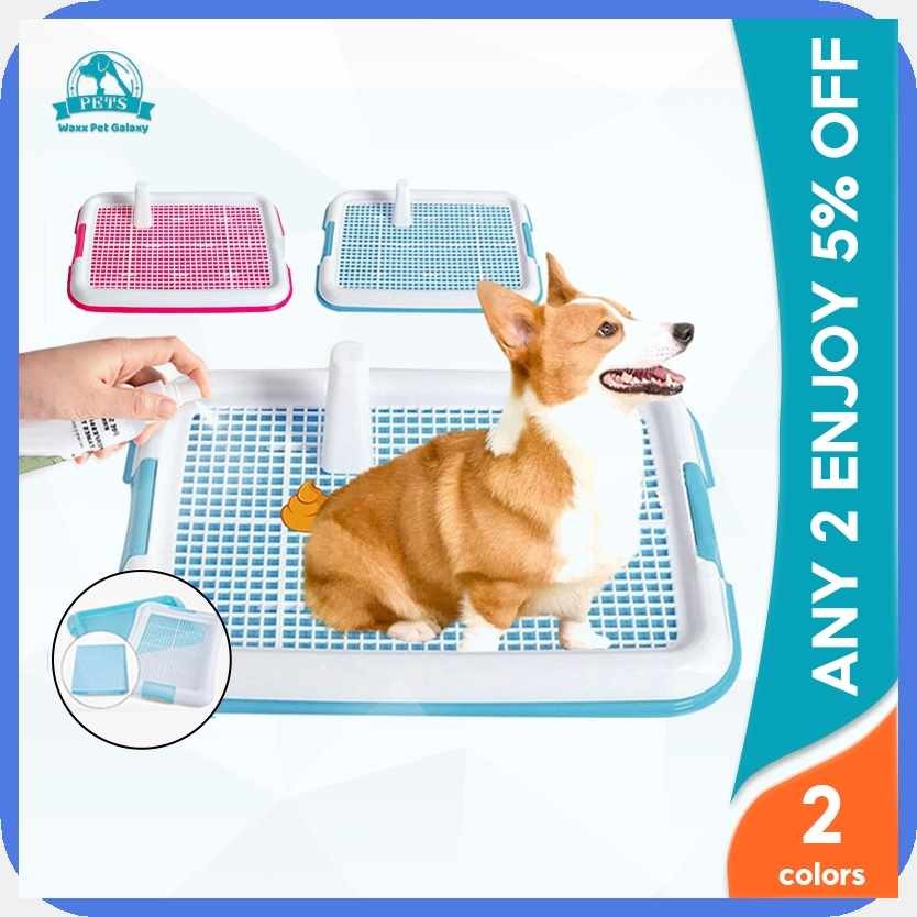 Dog>bTraining{C?Potty^qj/Pad%GY:Pet%Hy:Toilet%xq:Dog%Qw:Toilet%hS:Potty ...