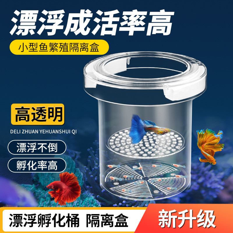 Fish Tank Isolation Box Guppy Breeding Box Phoenix Tail Zebra Female ...