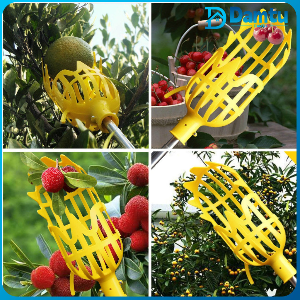 Plastic Fruit Picker Harvesting Picker Head Fruits Catcher Farm Fruit ...