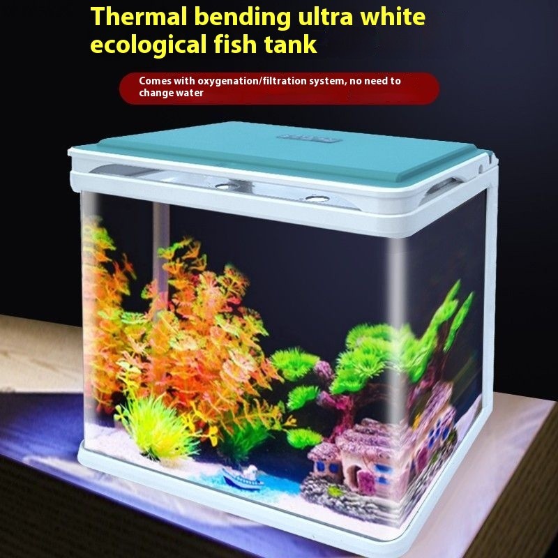 Simple Desktop Small Glass Fish Tank Round Corner Hot Bending Fish Tank ...