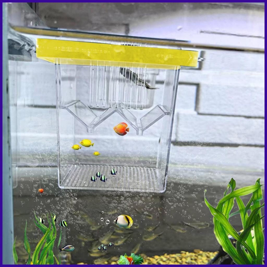 Breeding Box For Fish Tank Float Small Shrimp Isolation Divider ...
