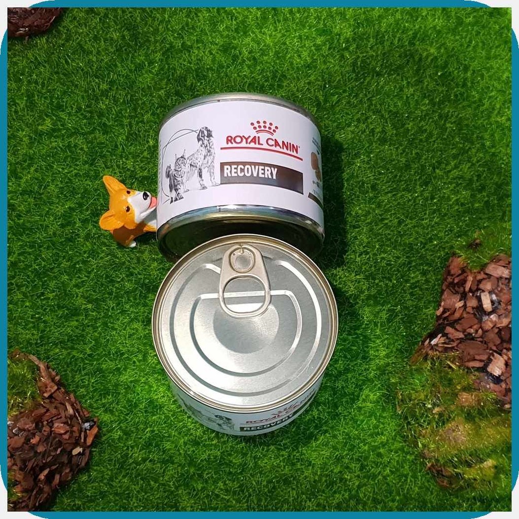 Royal`jS;Canin=Q_PJ:Recovery%Uh:Canned%pW:Wet%TJ:Food%Mq:for%KD:Dogs ...
