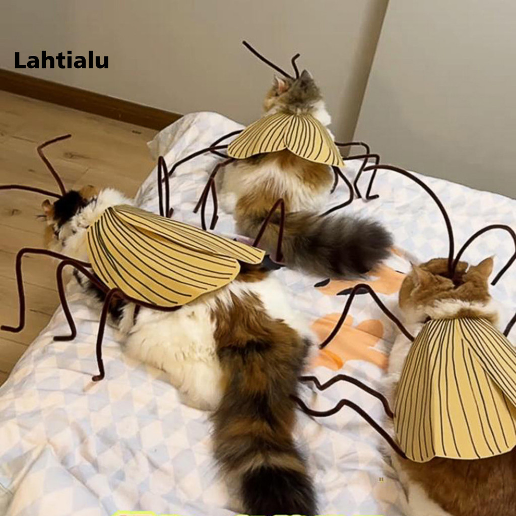 Lahtialu Cat Cockroach Costume Festive Pet Attire Handmade Cat Cosplay ...