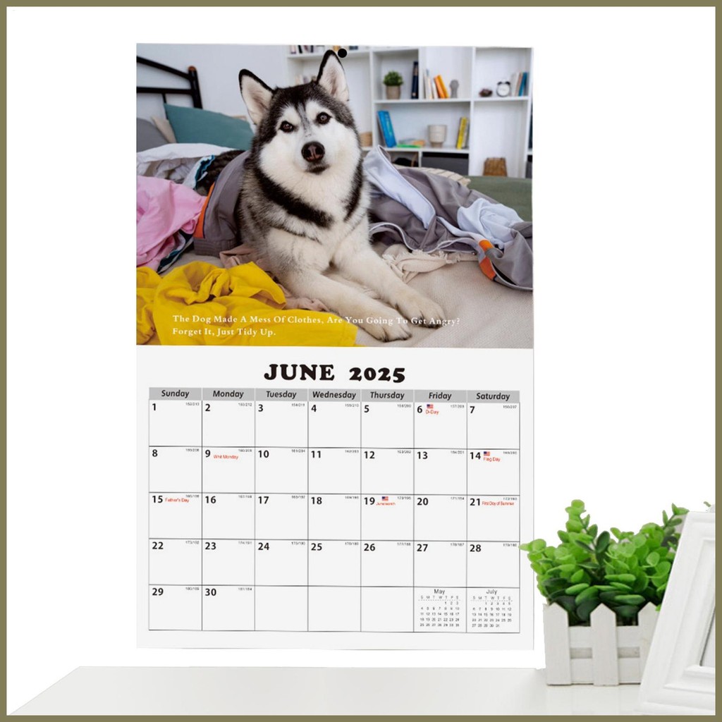 Funny Calendar 2025 Interesting Wall Calendar Wall Planner Bright ...