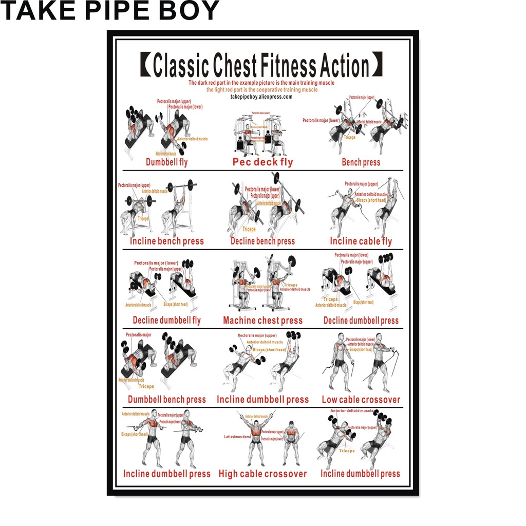 Workout Posters for Home Gym - Dumbbell Exercise Posters for Chest ...