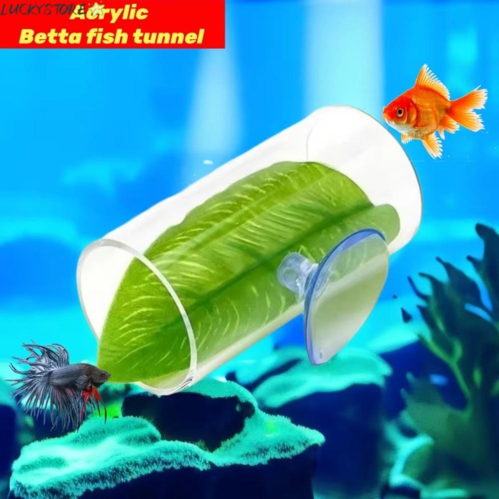 LUCKY Aquarium Betta Fish Tunnel, Transparent Hide Betta Fish Acrylic ...