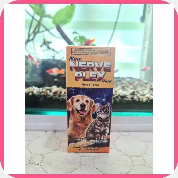Nerve.Fm/Plex;e|Plus]Yy.120mL | Shopee Philippines