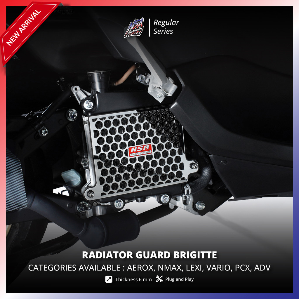 NSA Radiator COVER BRIGITTE VARIO 125/150 PCX 150 ADV 150 | Shopee ...
