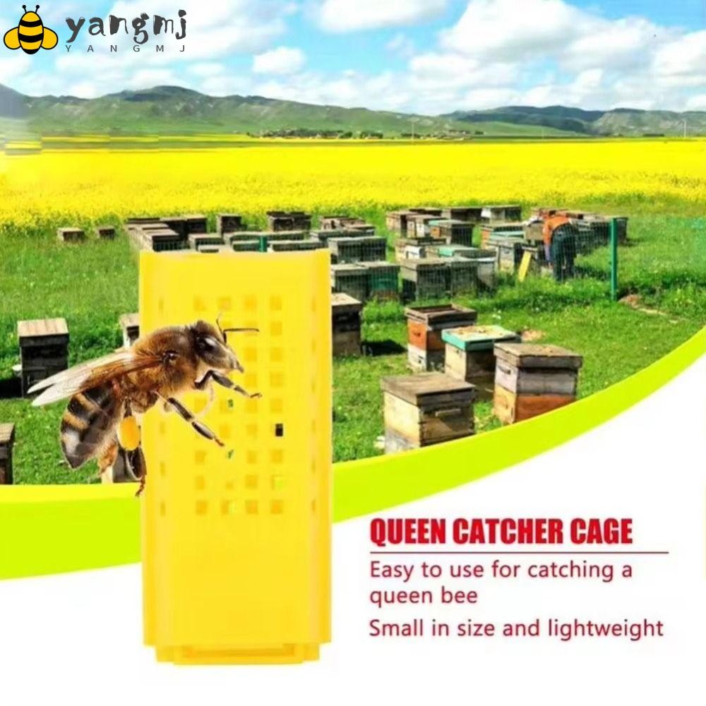 YANGMJ 12pcs Beekeeping Transport Cages, Professional Protect Queen ...