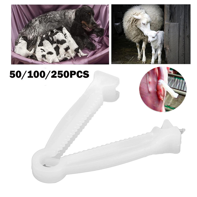 50/100/250PCS Piglet Umbilical Cord Clamp Sterile Disposable Animal ...