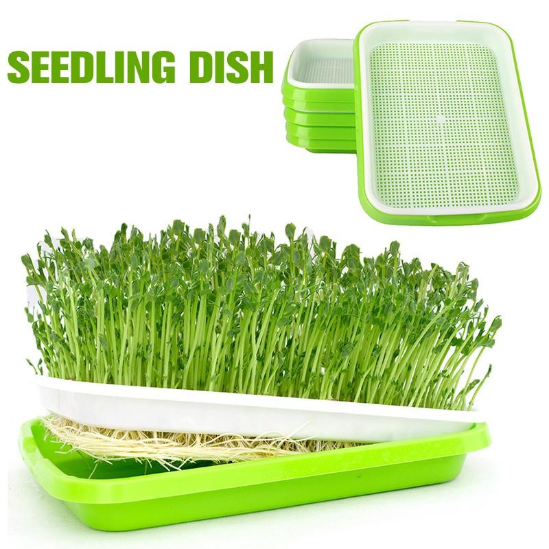 Hydroponics Sprouting Tray Bean Sprouts Seeds Germination Plate ...