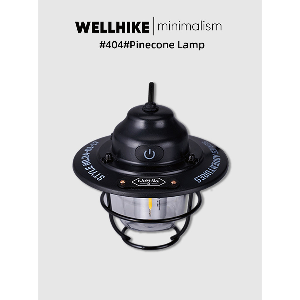 WELLHIKE Rechargeable Decorative Camping Light 80H Continuity Ambient ...
