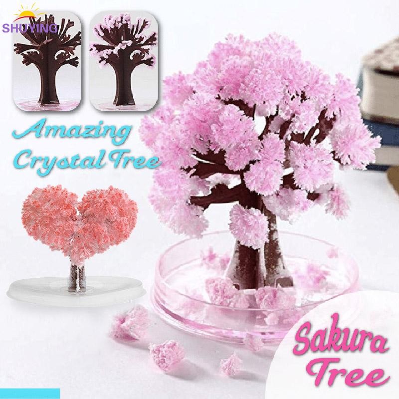 Christmas Paper Growing Tree Colorful DIY Holiday Growing Kit Ornaments ...