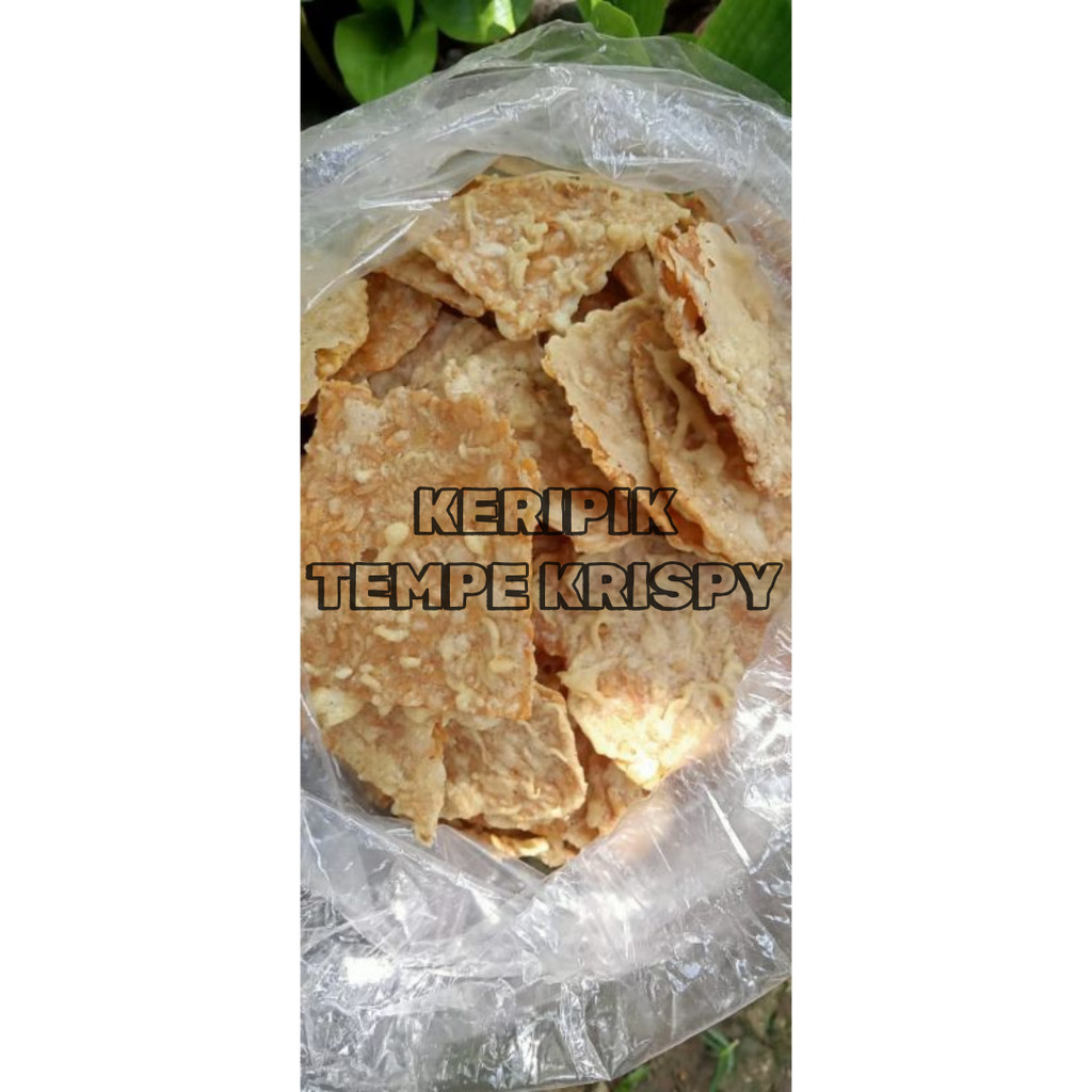 Malang tempeh chips 1kg dry tempeh chips bandung tempeh chips 1kg ...